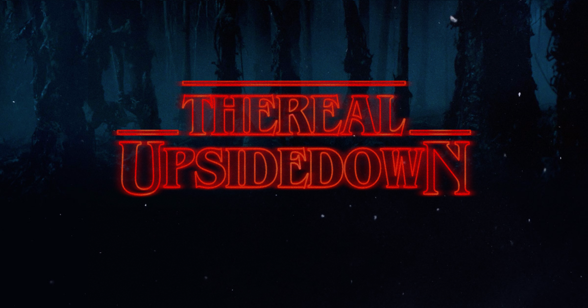 Welcome to The Real Upsidedown. – The Quiet Branches